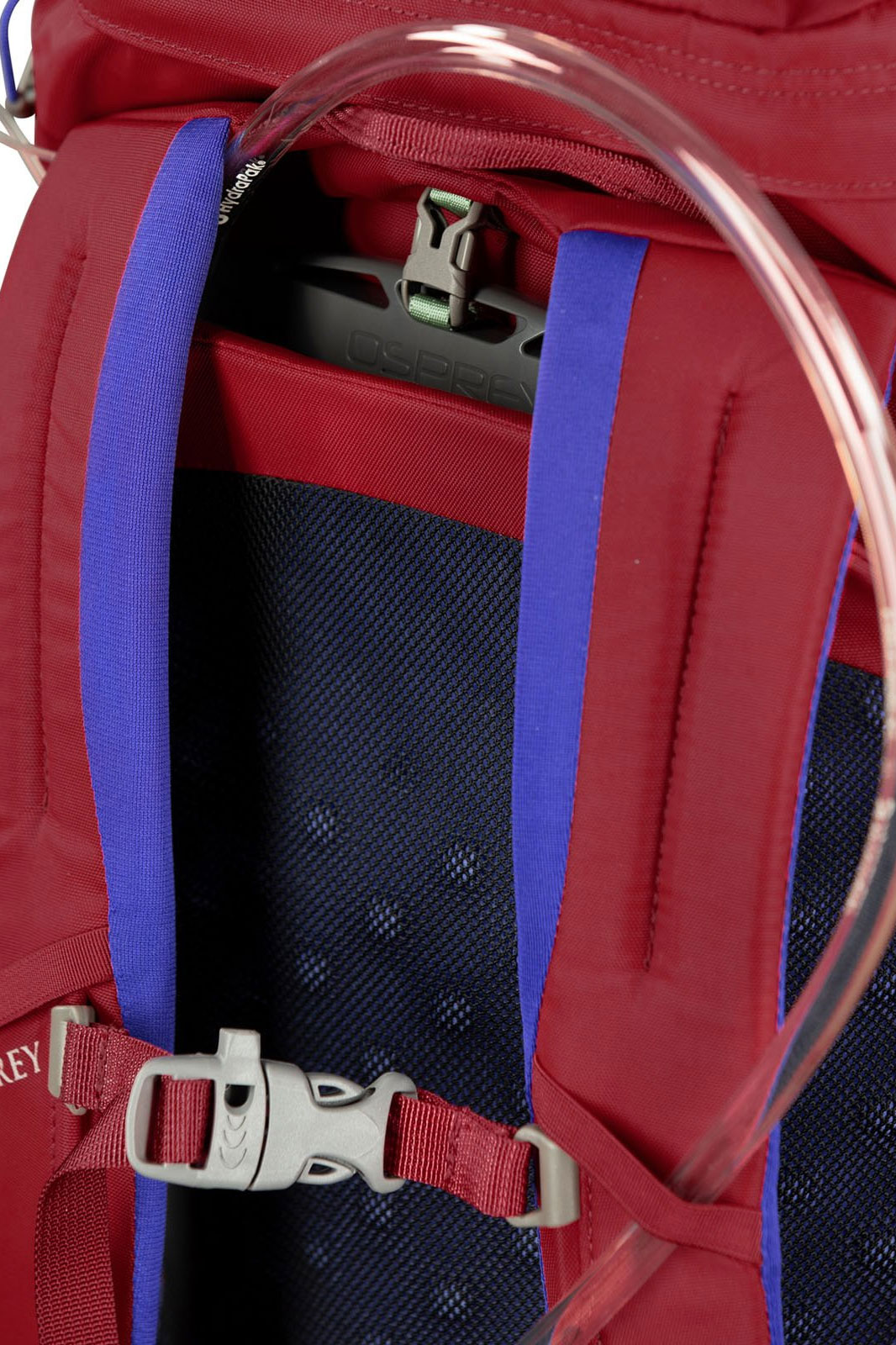 Balo, túi xách chính hãng, The Original Backpack - Sportee Store